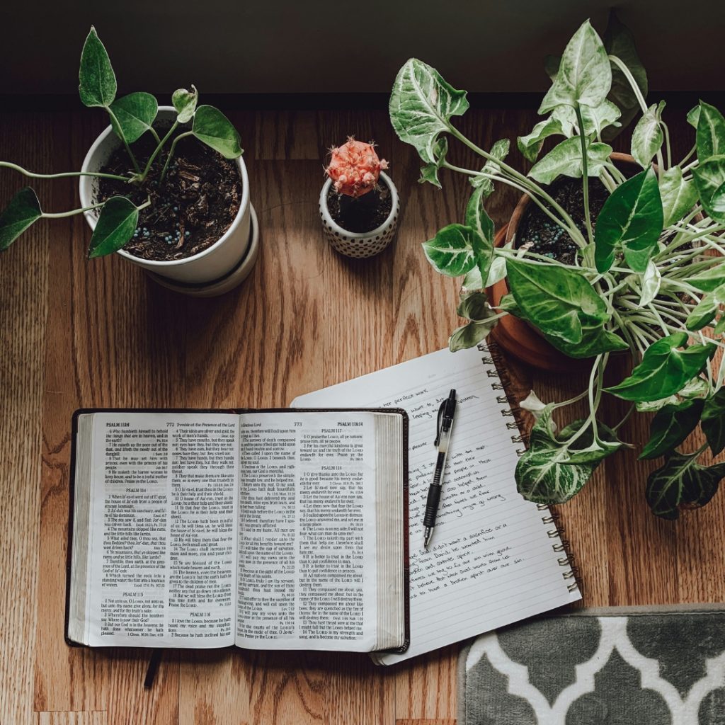 Discipleship-Driven Youth Ministry: A Guide for Lead Pastors - Deep ...